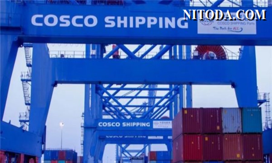 COSCO SHIPPING Ports báo cáo Q3 năm 2023: Doanh thu tăng trưởng ổn định ...